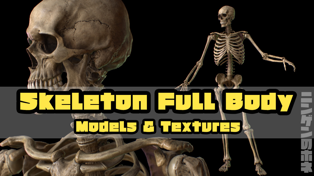 ArtStation - Skeleton FullBody Models&Textures | Resources