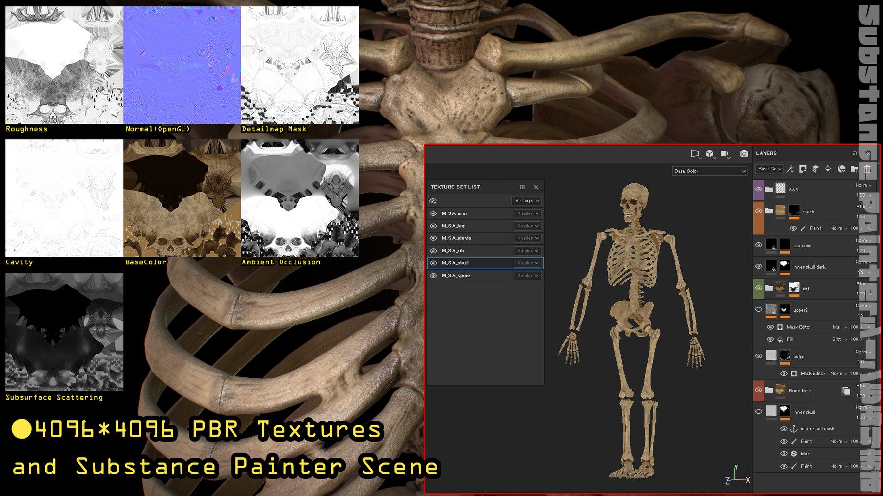 Kohichi Waseda - Skeleton FullBody Models&Textures