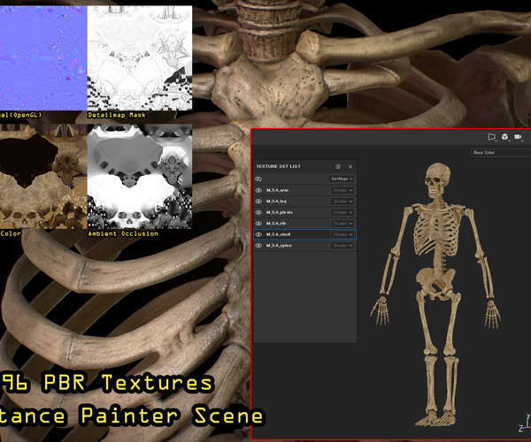 ArtStation - Skeleton FullBody Models&Textures | Resources