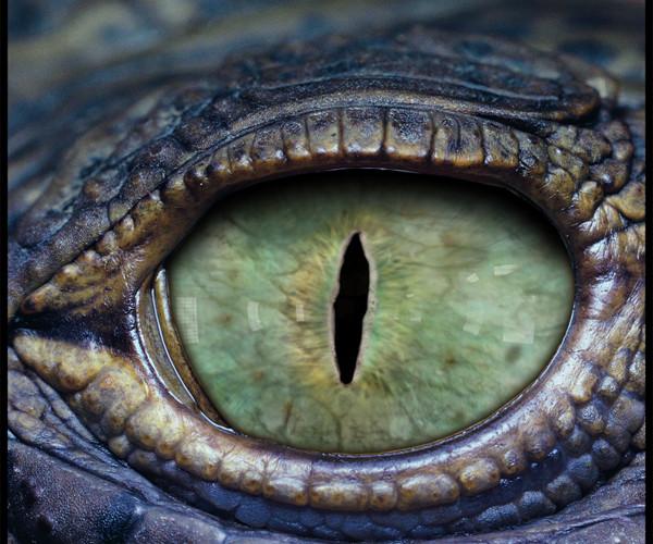 ArtStation - Creature Eye Textures - Vol 02 | Resources