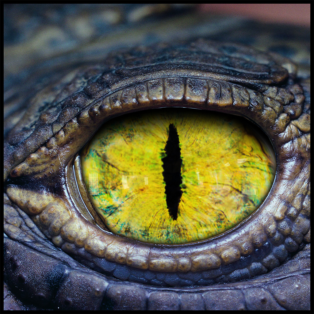 ArtStation - Creature Eye Textures - Vol 02 | Resources