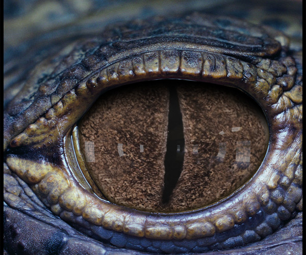 ArtStation - Creature Eye Textures - Vol 02 | Resources