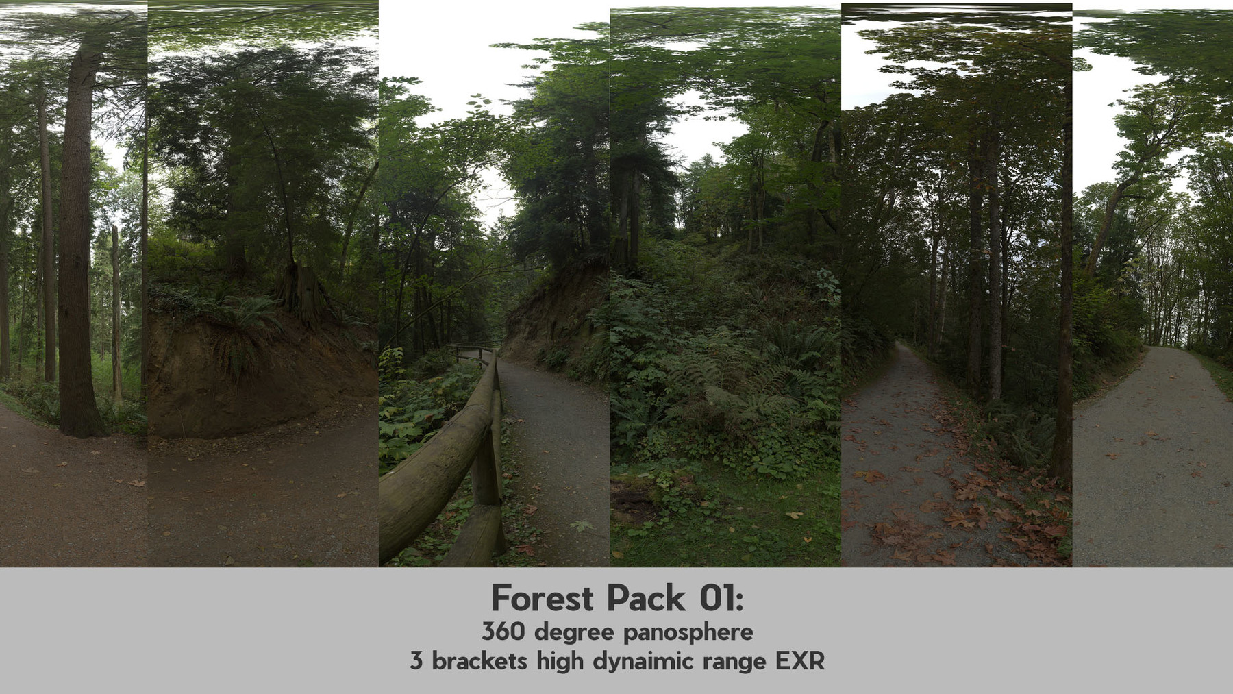ArtStation - Panosphere Forest Pack 01 | Resources