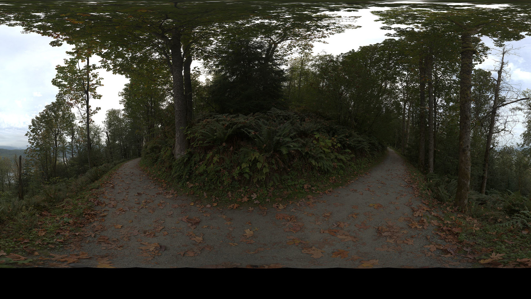 ArtStation - Panosphere Forest Pack 01 | Resources