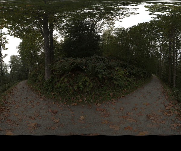 ArtStation - Panosphere Forest Pack 01 | Resources