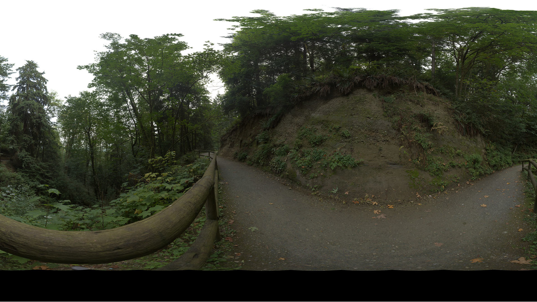 ArtStation - Panosphere Forest Pack 01 | Resources