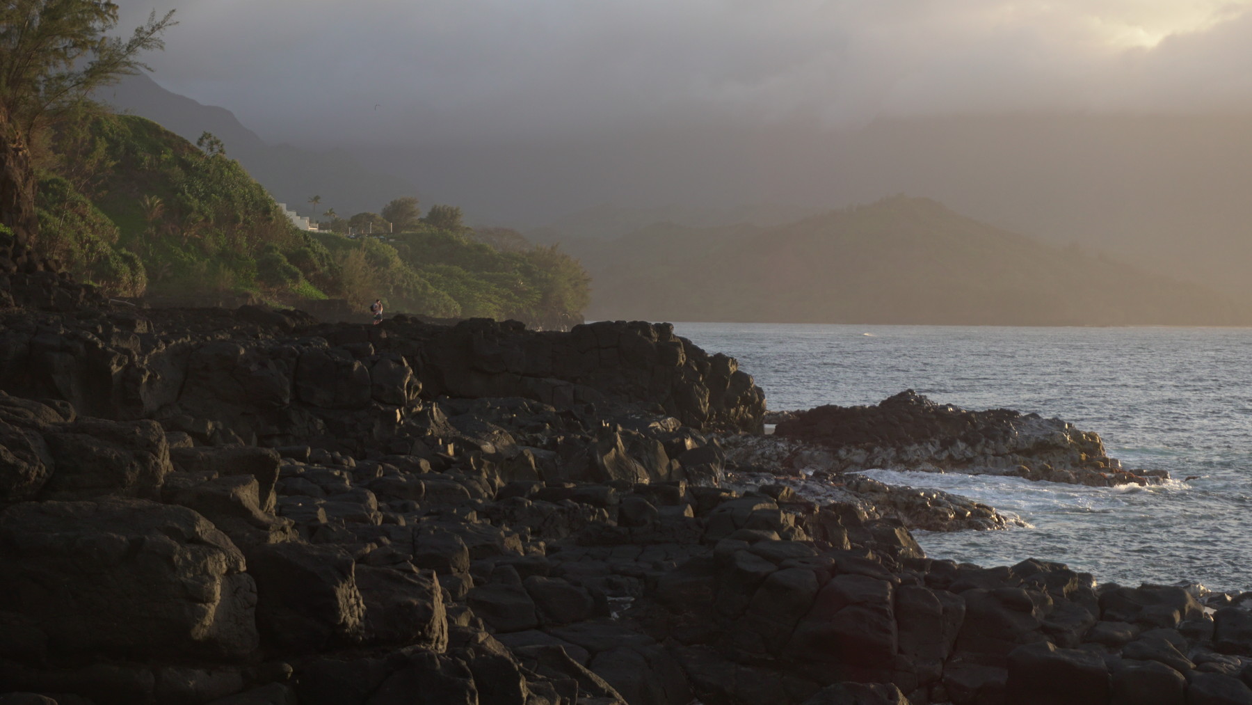 ArtStation - REF PACK TROPICAL ISLAND RAINFOREST | Resources