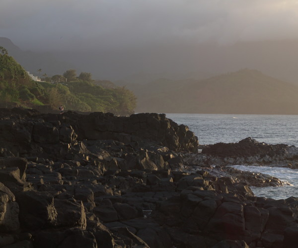 ArtStation - REF PACK TROPICAL ISLAND RAINFOREST | Resources