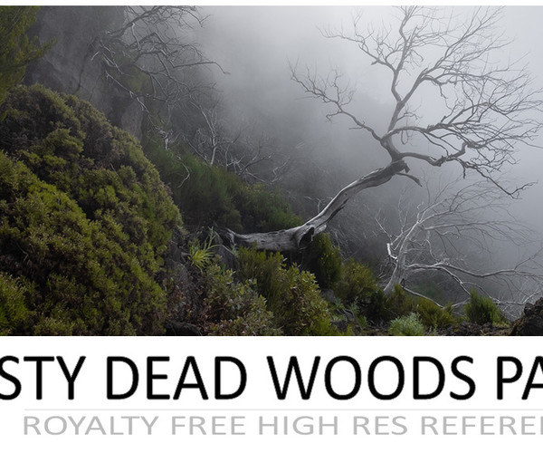 ArtStation - MISTY DEAD WOODS PACK | Resources