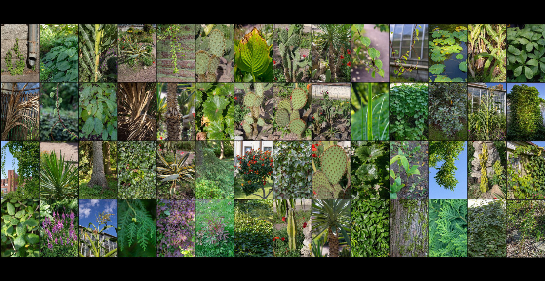 ArtStation - Vegetation High Resolution Photos Vol. 1 | Resources