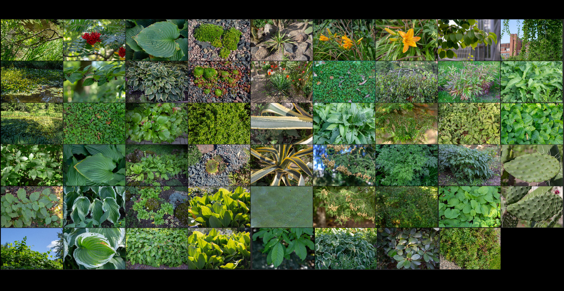 ArtStation - Vegetation High Resolution Photos Vol. 1 | Resources