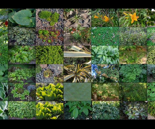 ArtStation - Vegetation High Resolution Photos Vol. 1 | Resources