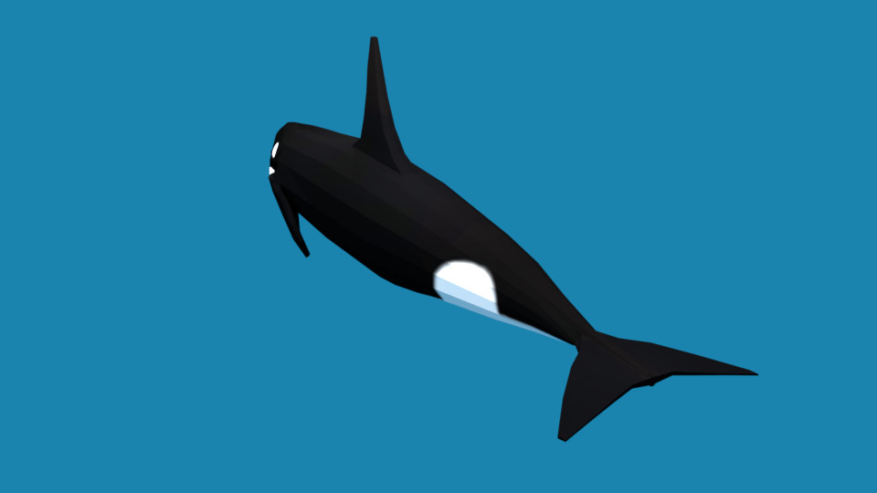 ArtStation - Low Poly Cartoon Orca Killer Whale | Resources