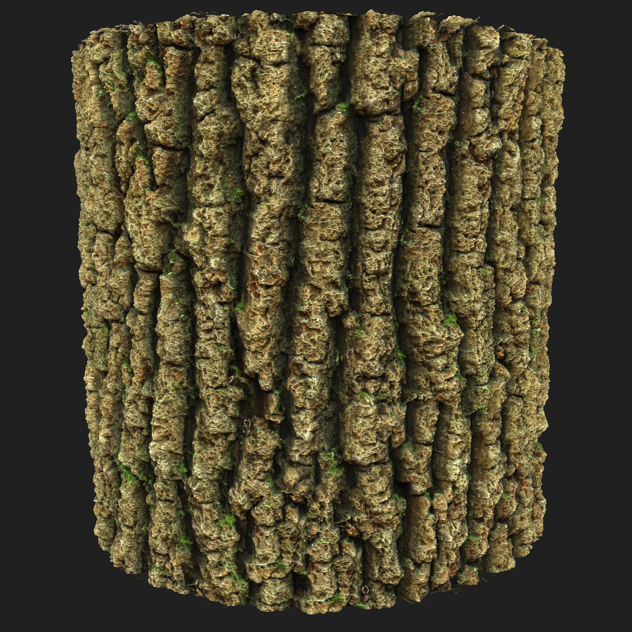 ArtStation - Tree Bark 6 | Game Assets