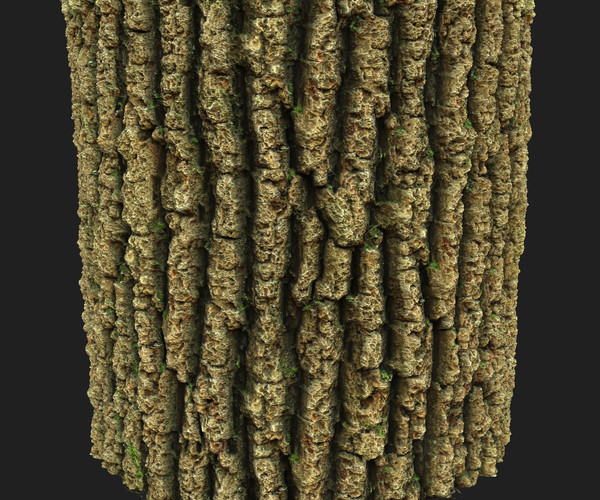 ArtStation - Tree Bark 6 | Game Assets