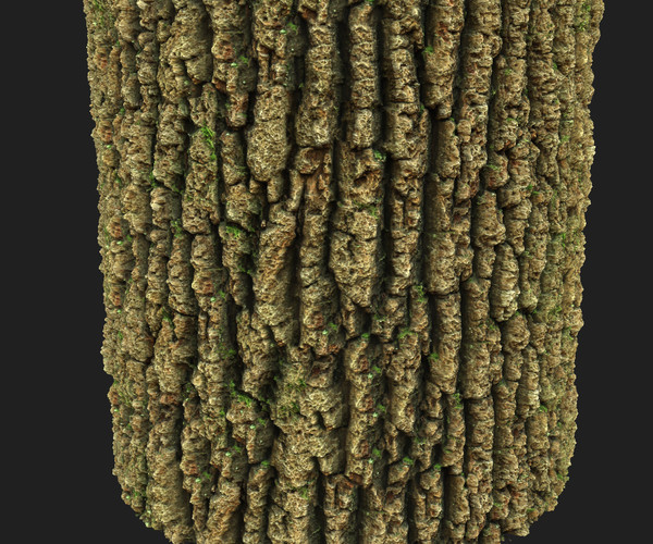 ArtStation - Tree Bark 6 | Game Assets