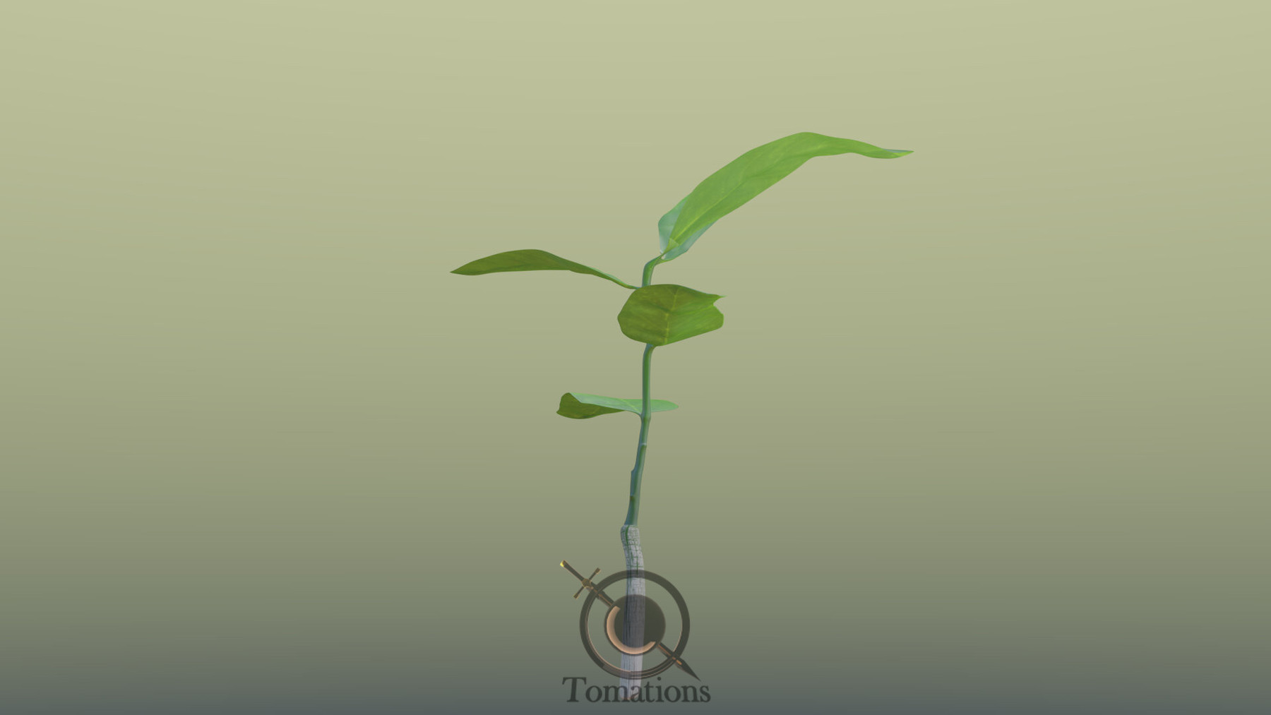 ArtStation - Sprout | Resources