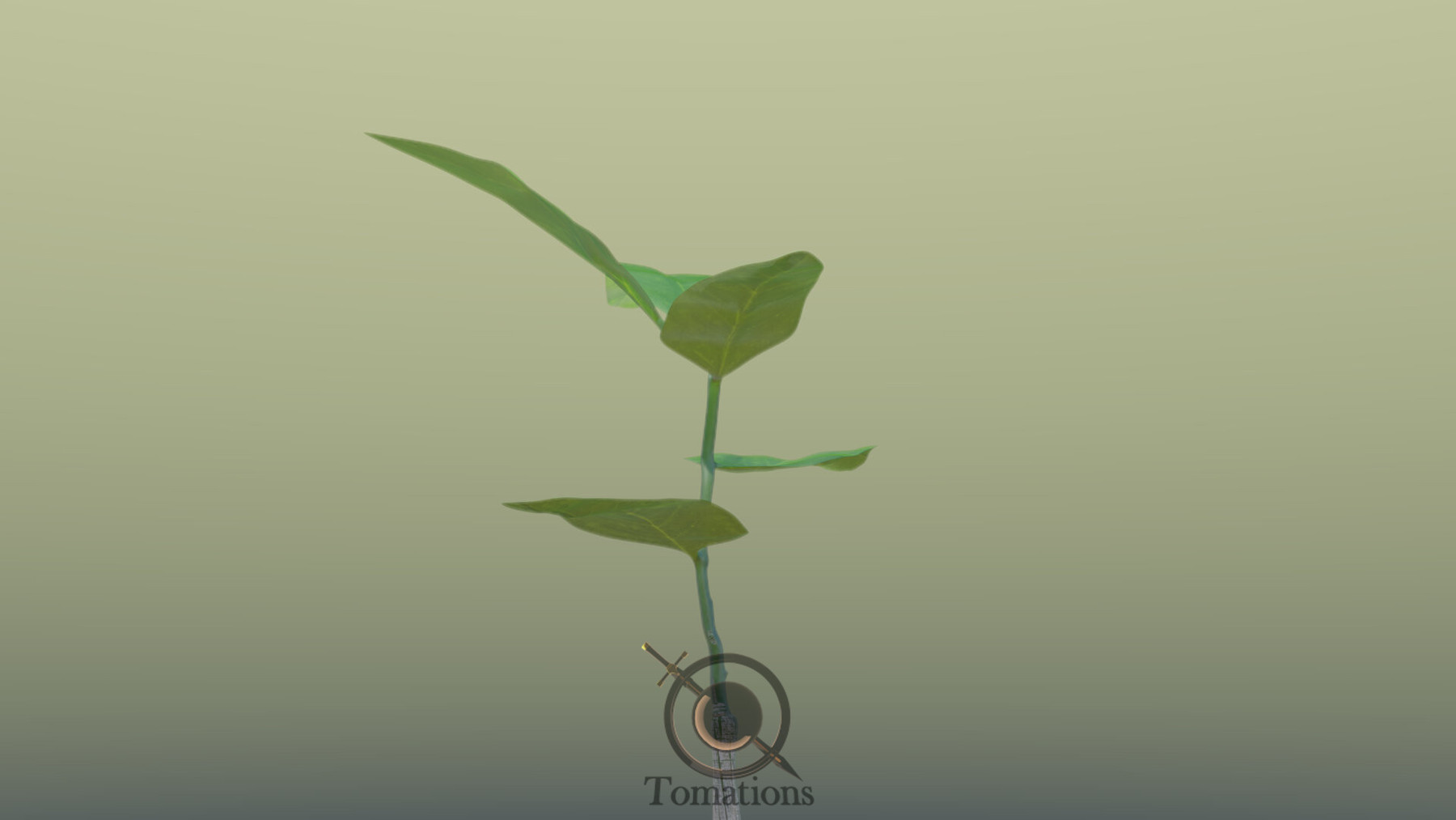 ArtStation - Sprout | Resources