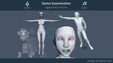 ArtStation - Human Basemeshes - Rigged