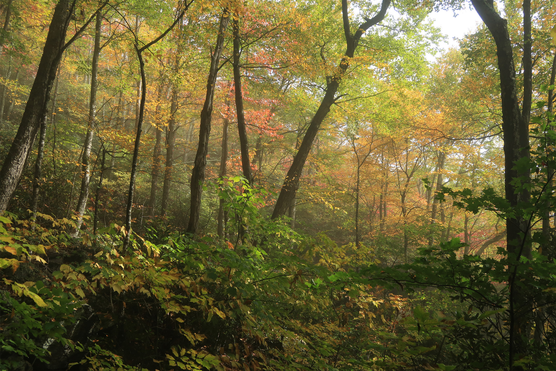 ArtStation - Misc. Environment Reference Pack | Resources