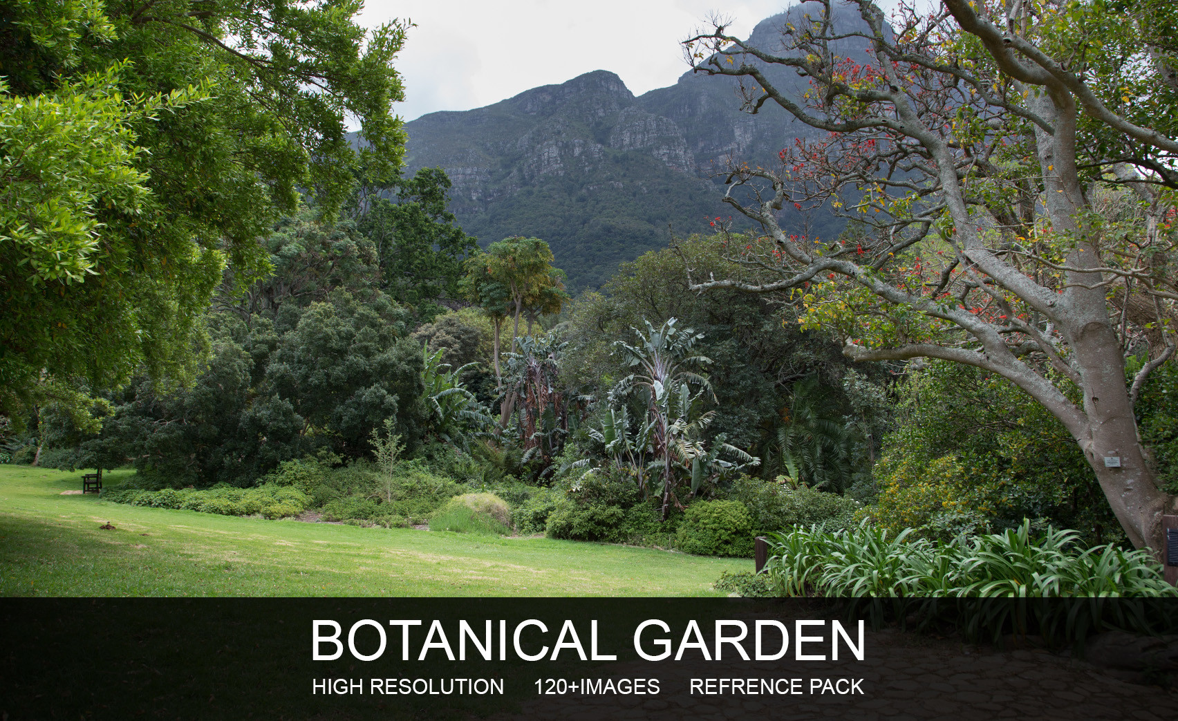 ArtStation - Botanical Garden | Resources