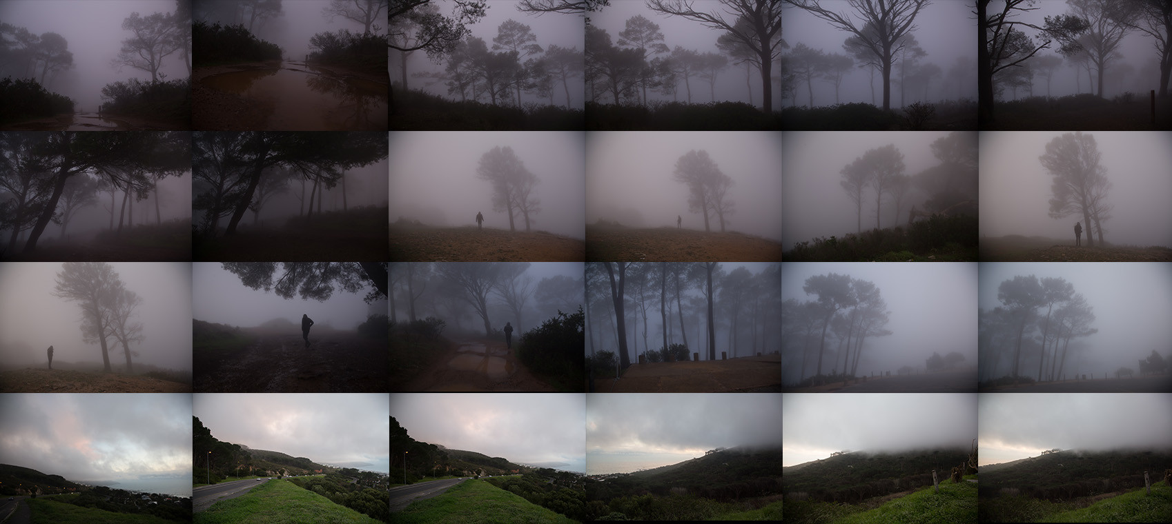 ArtStation - Misty Trees | Resources