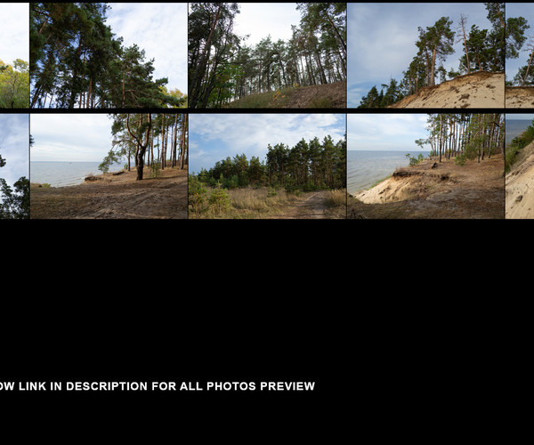 ArtStation - EP13 / Coastal Pine Forest / Reference pack | Resources