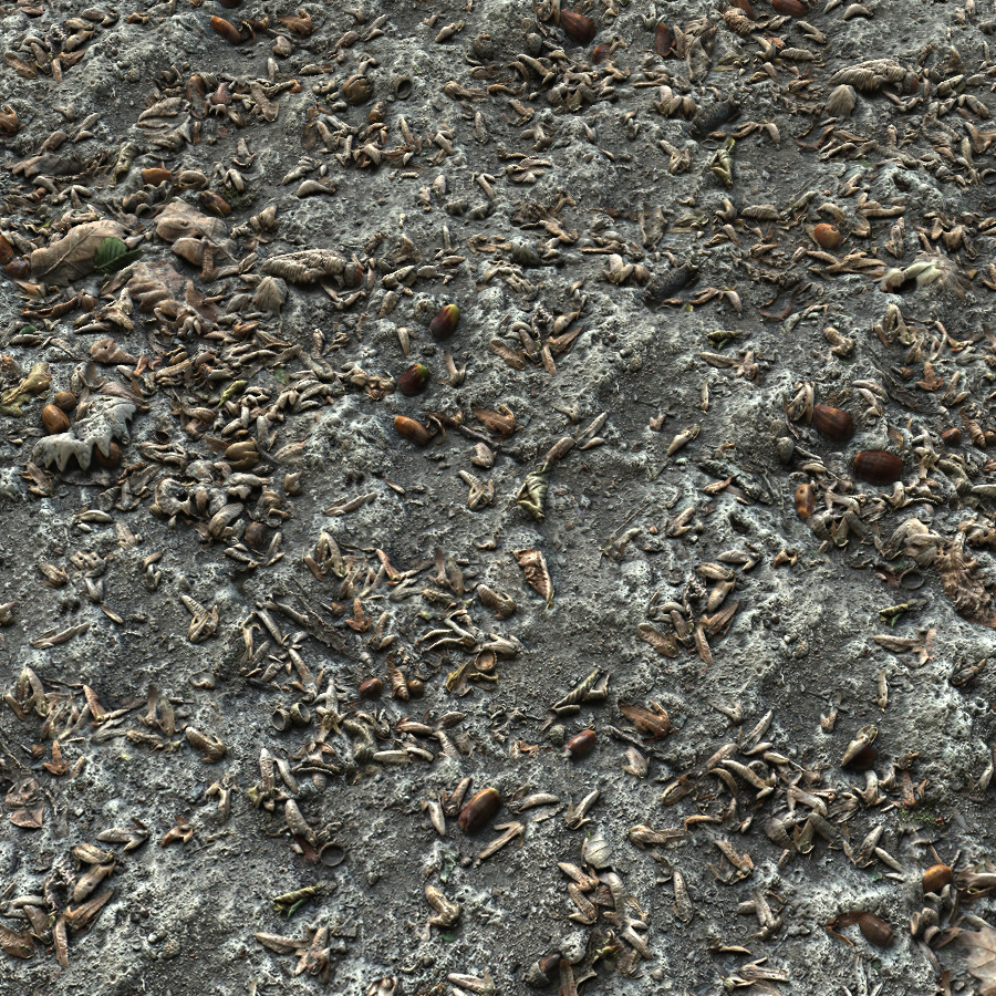 ArtStation - Forest Ground 2 Material Pack | Game Assets