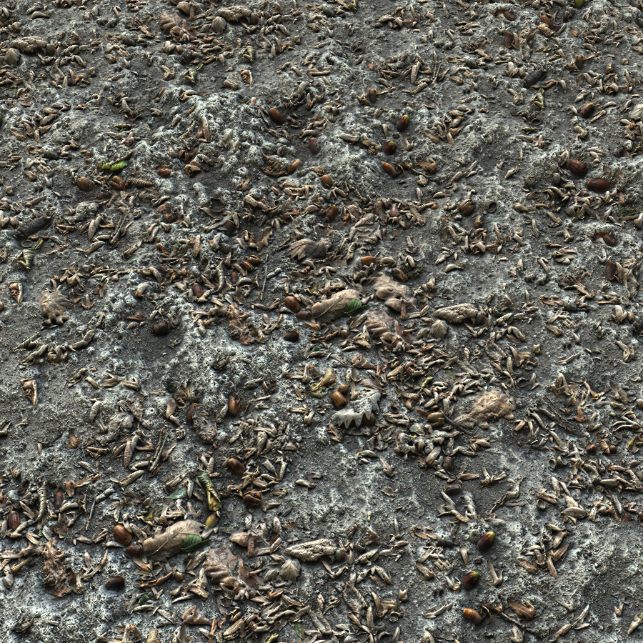 ArtStation - Forest Ground 2 Material Pack | Game Assets