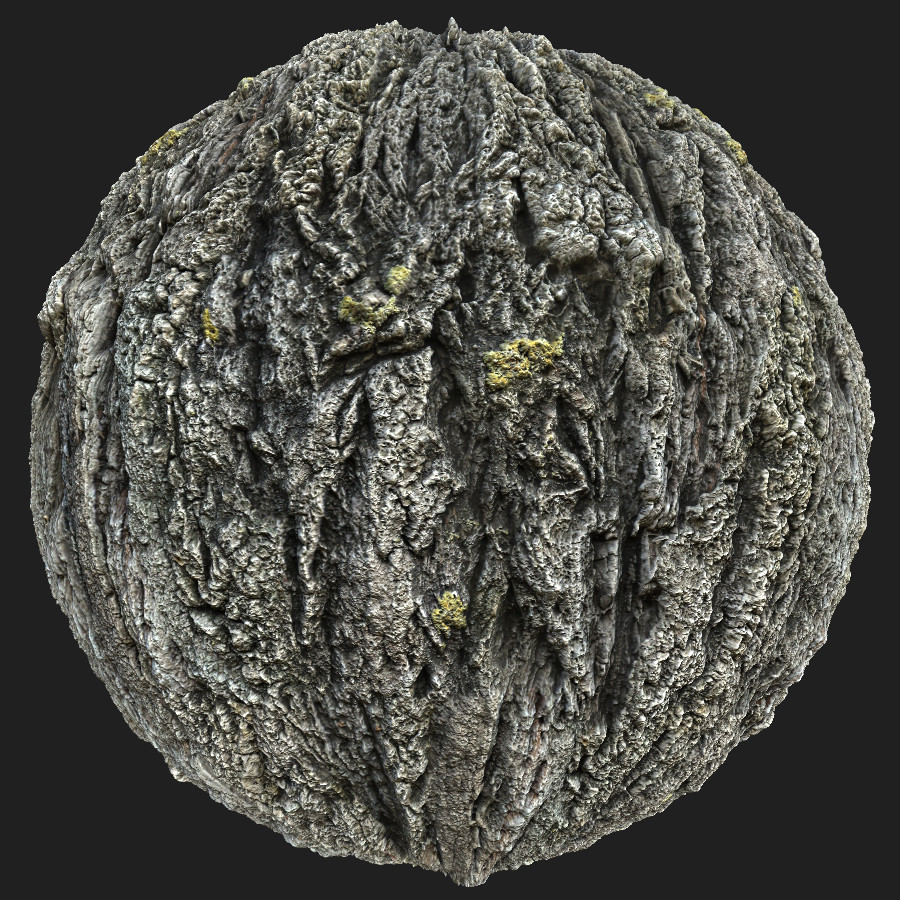 ArtStation - Tree Bark 5 Material Pack | Game Assets