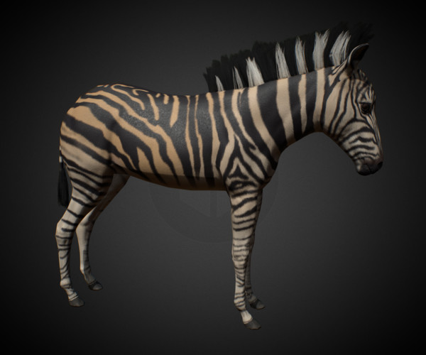 ArtStation - Zebra Game Ready Asset | Resources