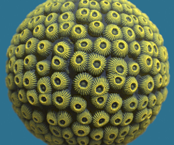 ArtStation - Coral Texture - Full Procedural | Game Assets