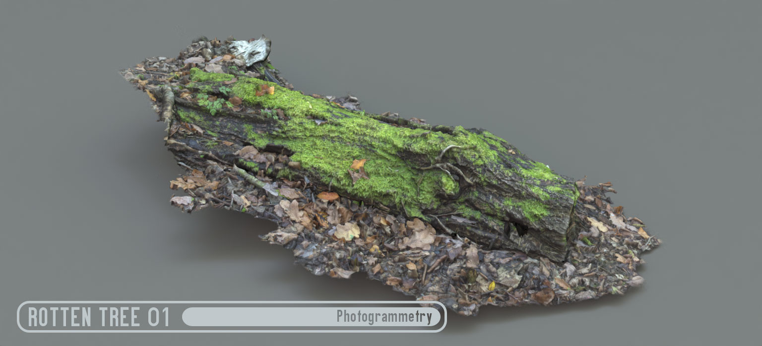 ArtStation - Rotten Tree 01 | Resources