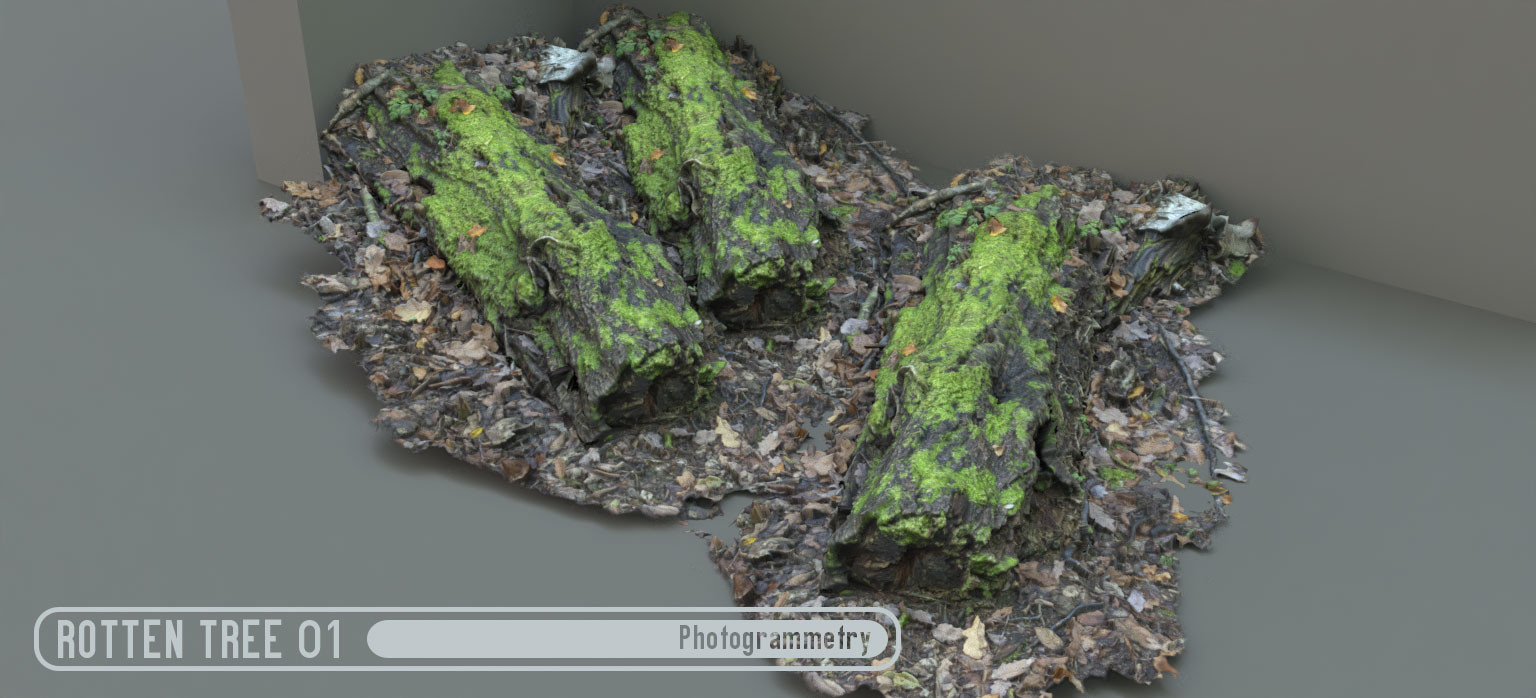 ArtStation - Rotten Tree 01 | Resources