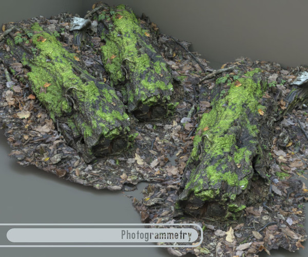 ArtStation - Rotten Tree 01 | Resources