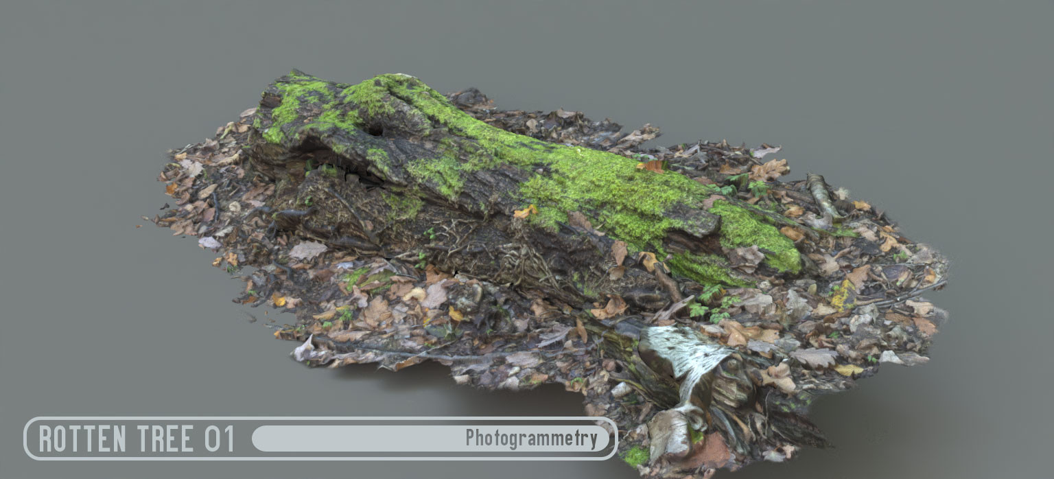 ArtStation - Rotten Tree 01 | Resources