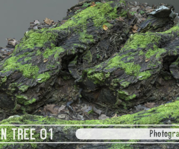 ArtStation - Rotten Tree 01 | Resources