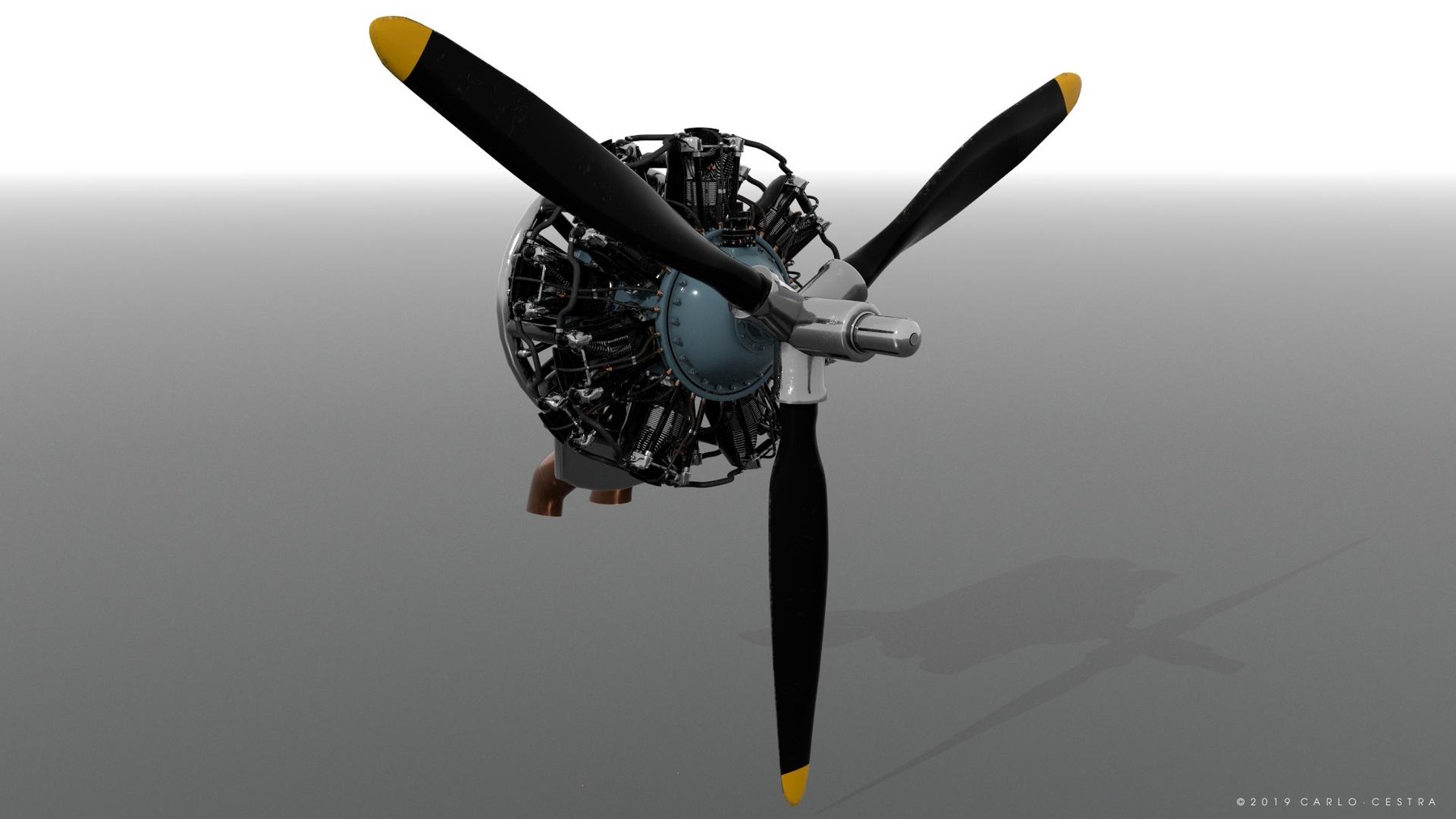 Carlo Cestra - R-1830 Twin Wasp Aircraft Engine