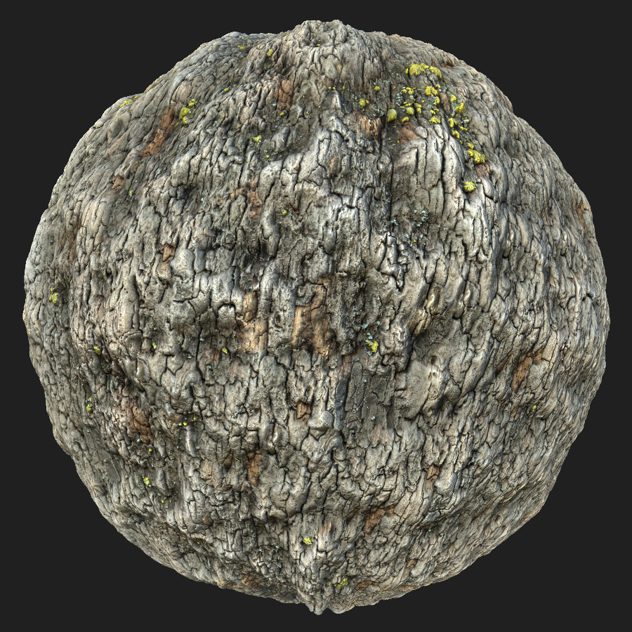 ArtStation - Tree Bark Material Pack | Game Assets