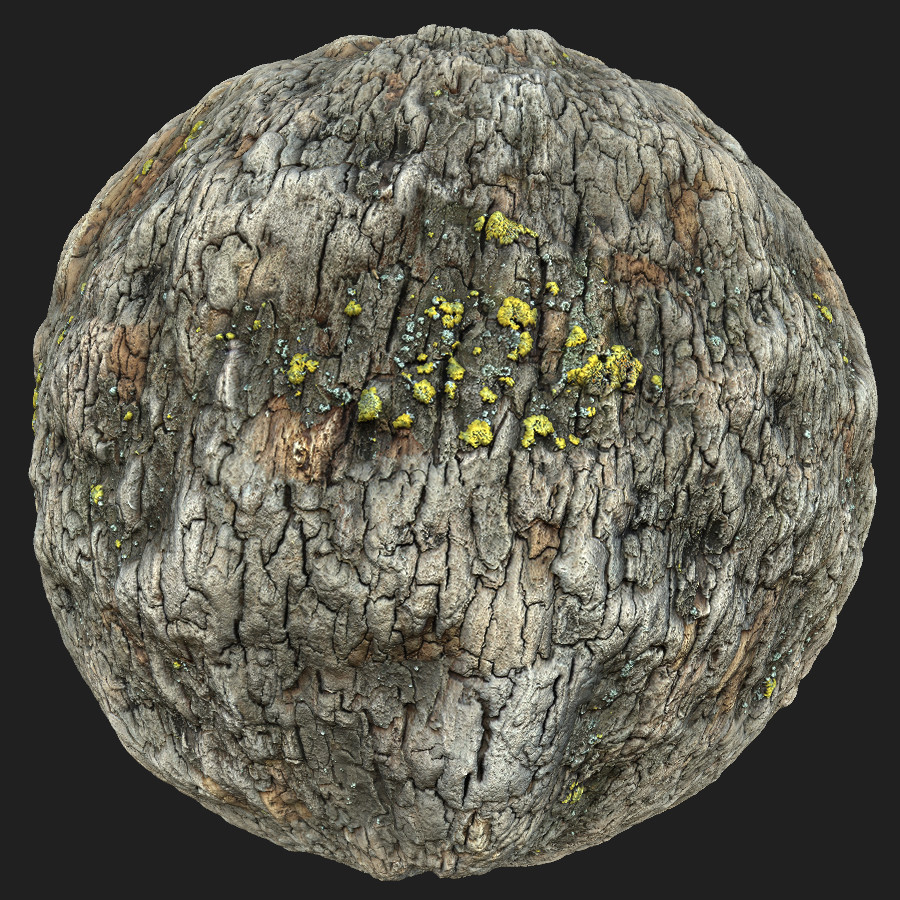 ArtStation - Tree Bark Material Pack | Game Assets