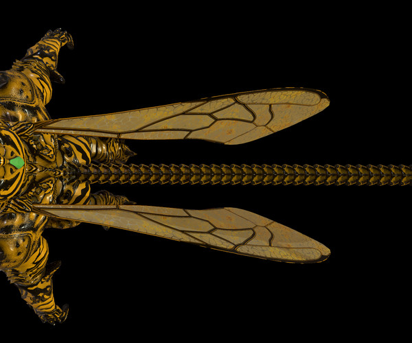 ArtStation - Mutant Wasp | Game Assets