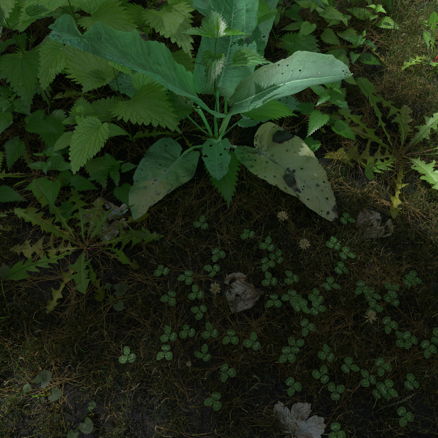 ArtStation - Nettle Meadow Patch | Resources