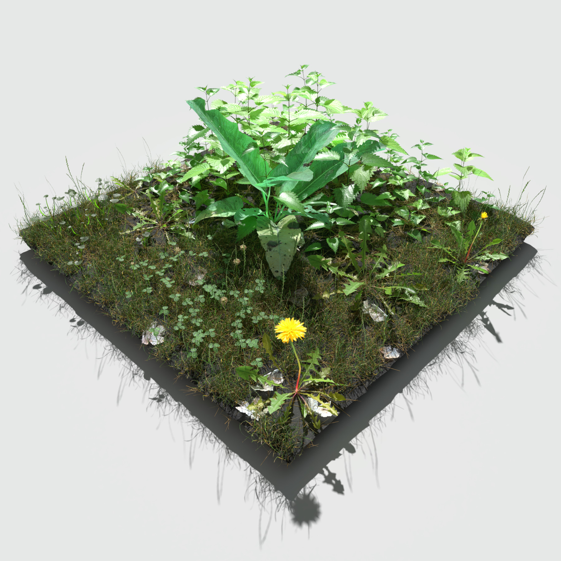 ArtStation - Nettle Meadow Patch | Resources