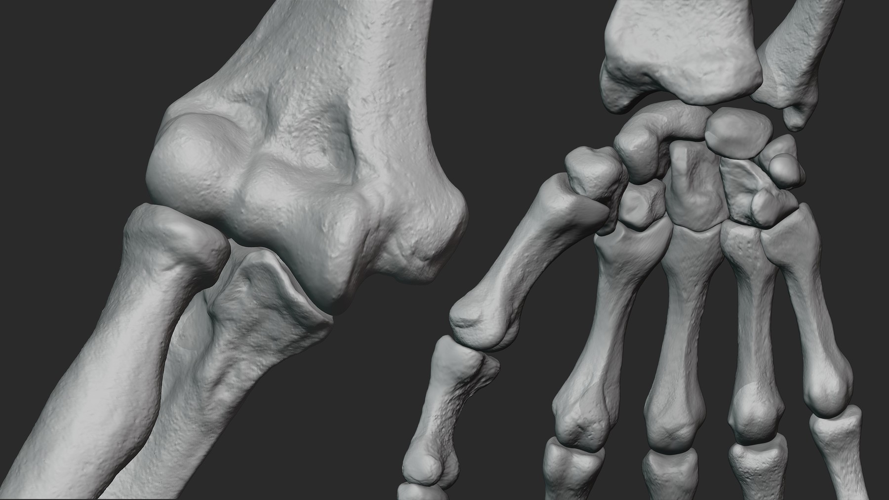 ArtStation - Male skeleton sculpt | Resources