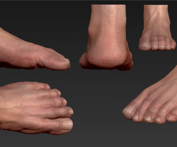 ArtStation - Foot Sculpt | Resources