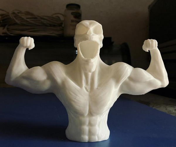 ArtStation - Skeleton Fitness V1.0 | Resources