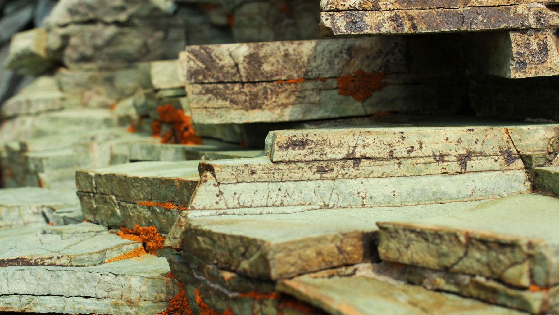 ArtStation - Scale Illusion | Resources