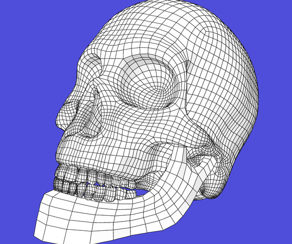 ArtStation - Maya Skull | Resources