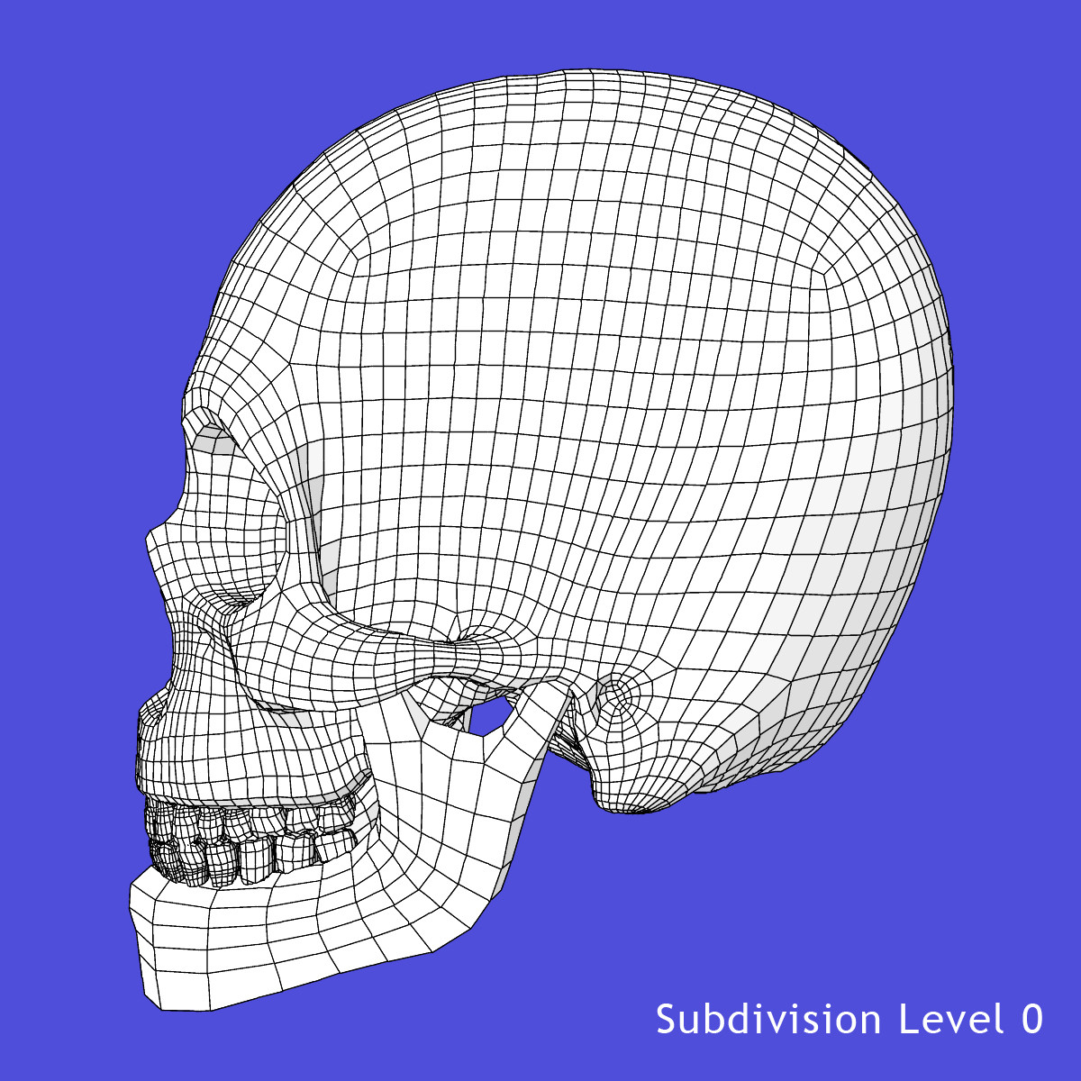 ArtStation - Maya Skull | Resources