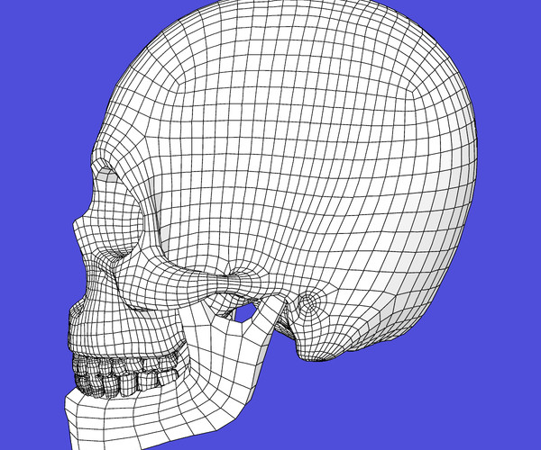ArtStation - Maya Skull | Resources